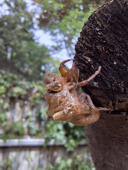 Death is Not the End – Conscious Living & Wendy's Coffeehouse